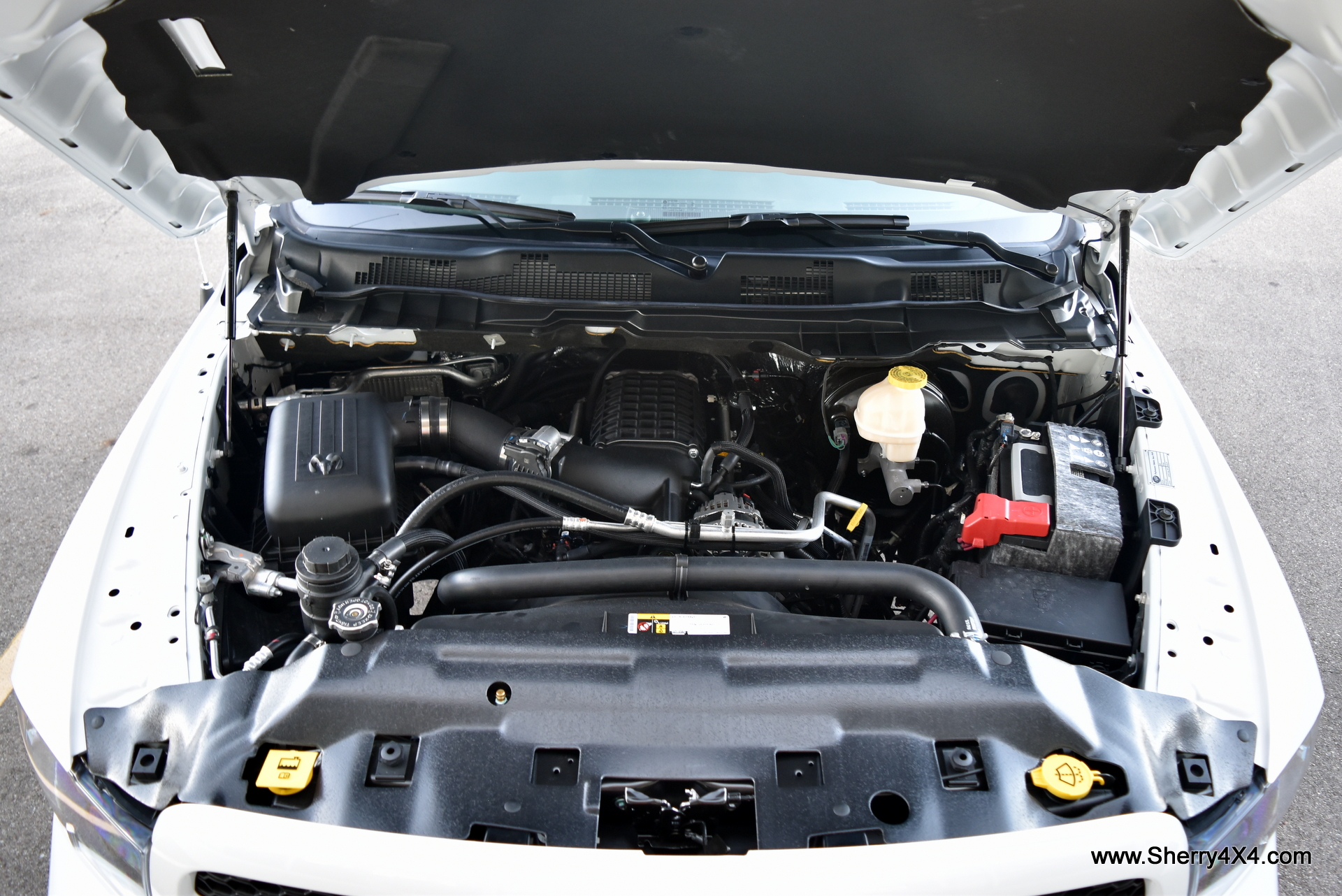 Lowered 2019 Ram 1500 - Petty's Garage Muscle Truck | 29034T - Sherry 4x4